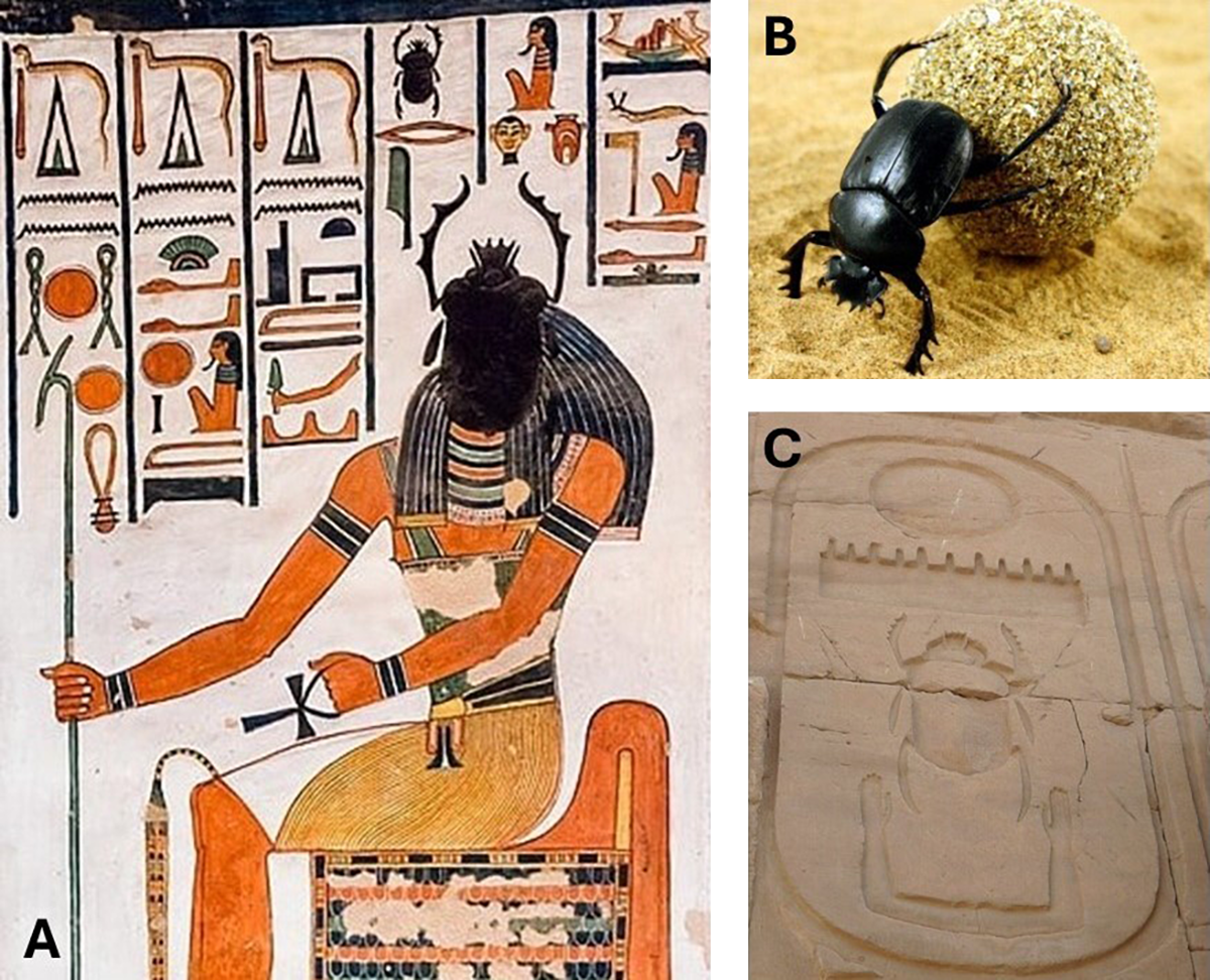 Khepri: El escarabajo sagrado en la mitología egipcia